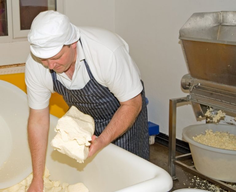 British Cheese Crisis – Jenny Linford food writer